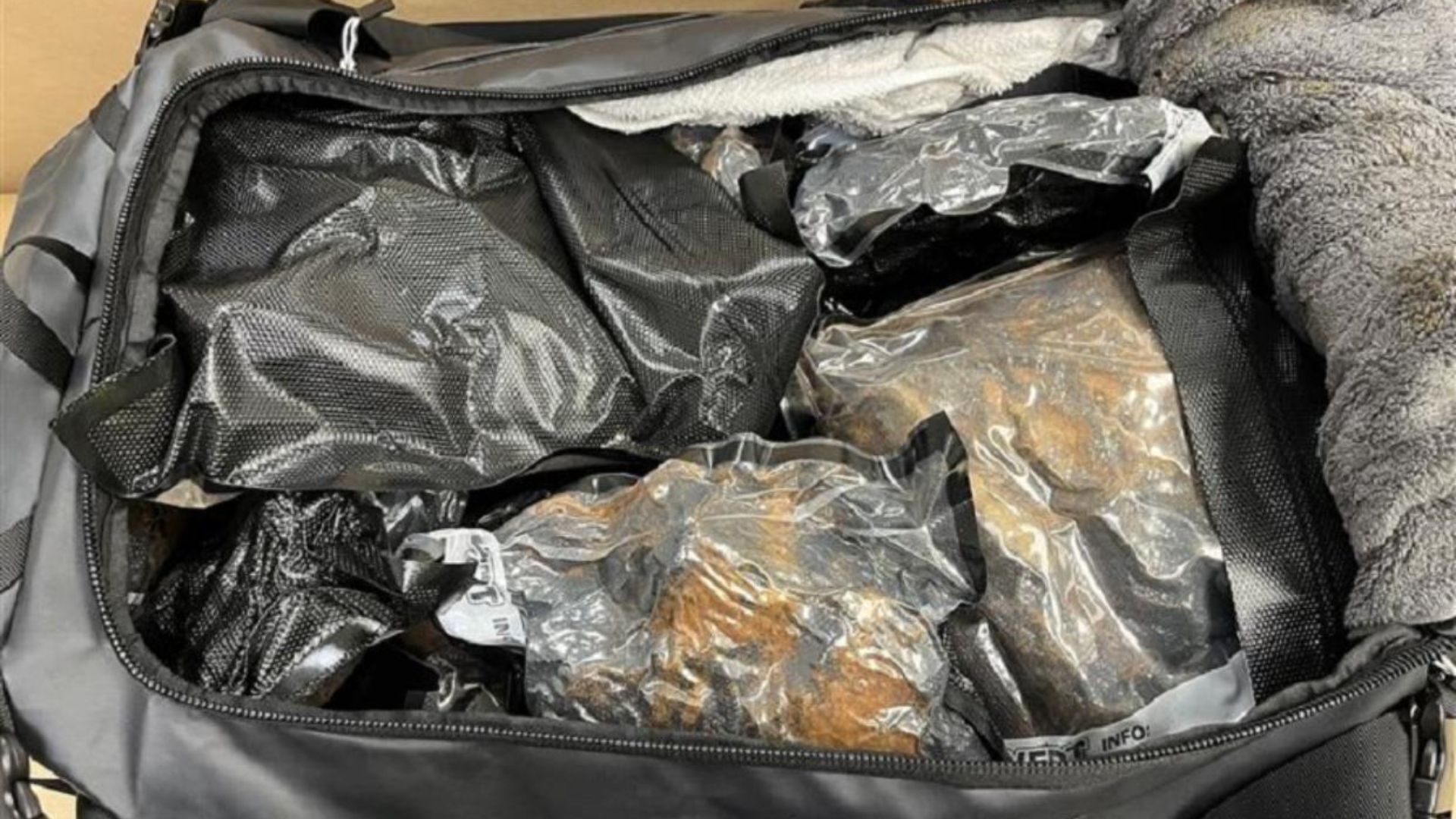 Police Bust Major Drug Import Syndicate at Auckland Airport
